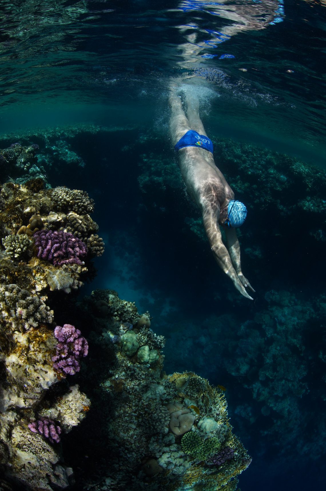 UN patron Lewis Pugh attempts world's first swim across the Red Sea ...