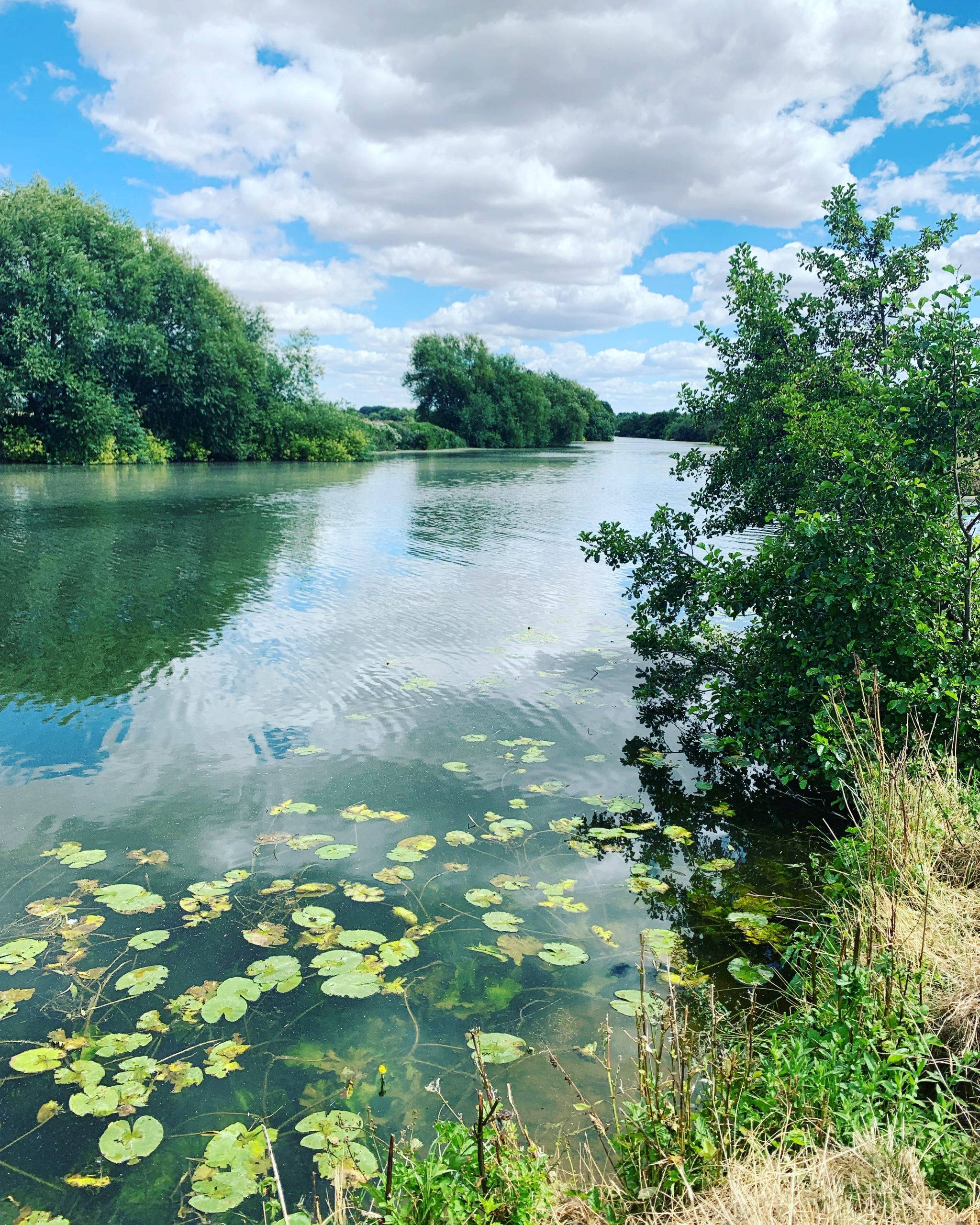 Henley Mermaids set to complete 100+ mile River Thames swim - Outdoor ...