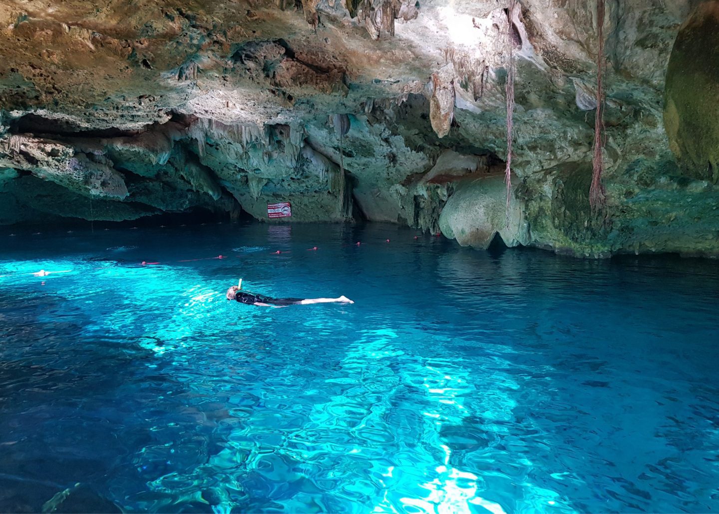 Swimming the cenotes of the Yucatan Peninsula - Outdoor Swimmer Magazine
