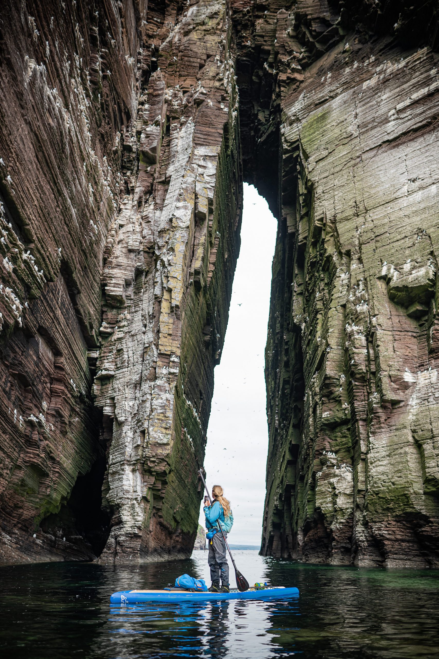 Watch new series Scotland: Ocean Nation - Outdoor Swimmer Magazine