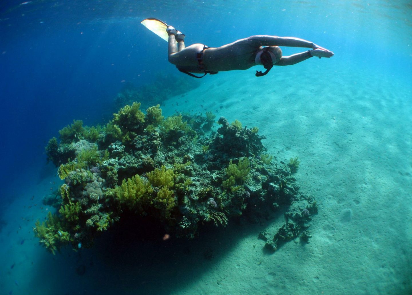Marine meditation: is freediving a natural extension of outdoor ...