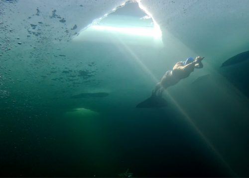 Ice magic: freediving under ice - Outdoor Swimmer Magazine