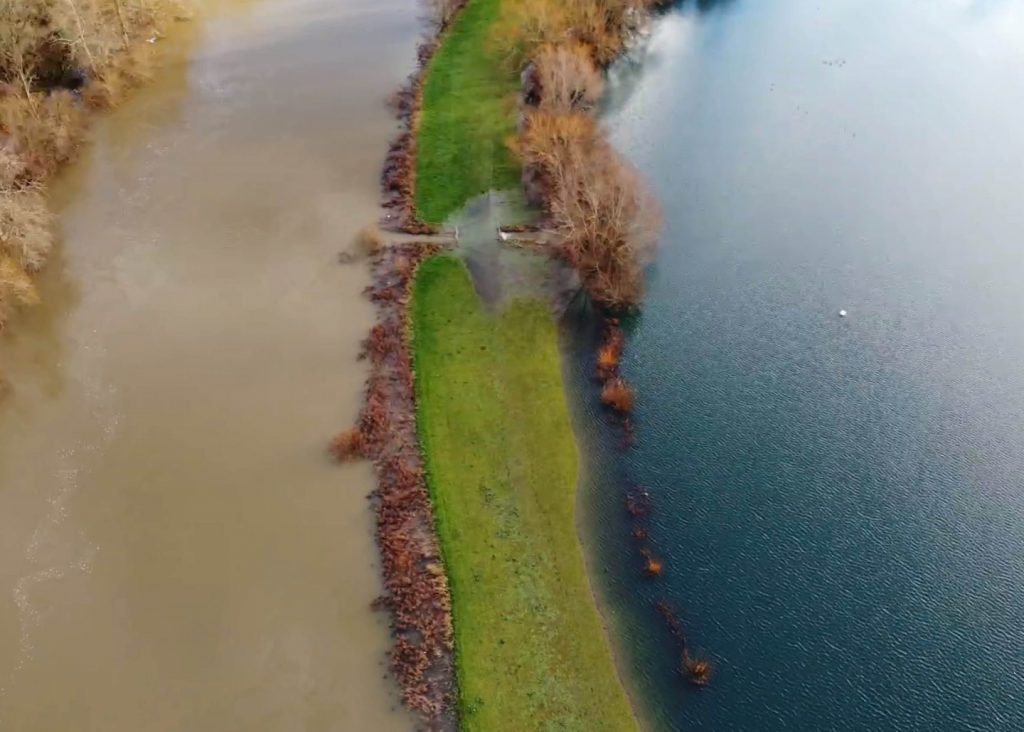 Save Shepperton Open Water Swim - Outdoor Swimmer Magazine