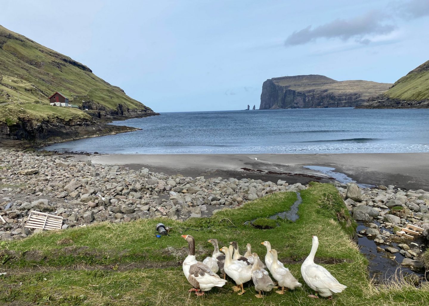 Tricks of the mind: swimming in the Faroe Islands - Outdoor Swimmer ...