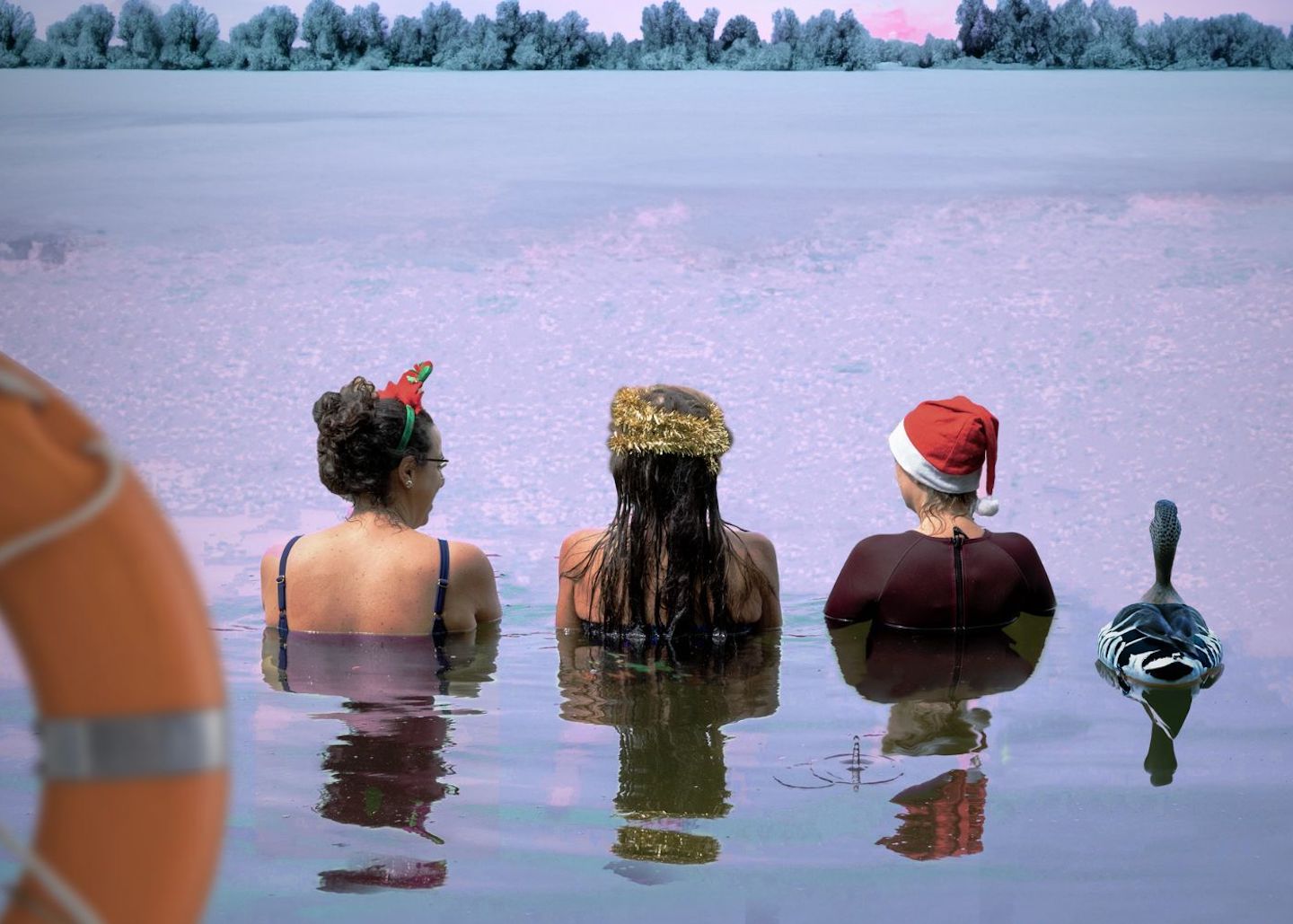 A heartwarming wild swimming tale for Christmas - Outdoor Swimmer Magazine