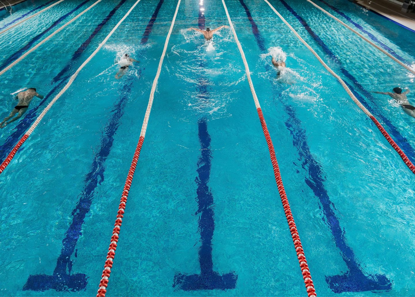 Life in the slow fast lane: how to train in a public pool session ...