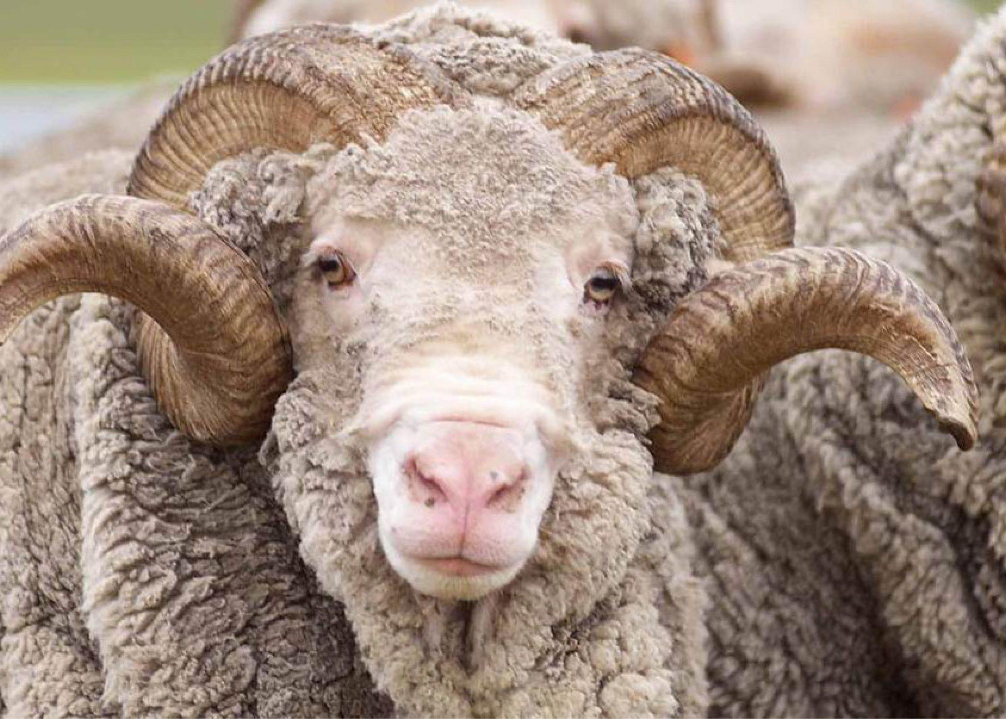 How to warm up after a swim: the wonders of merino - Outdoor Swimmer ...