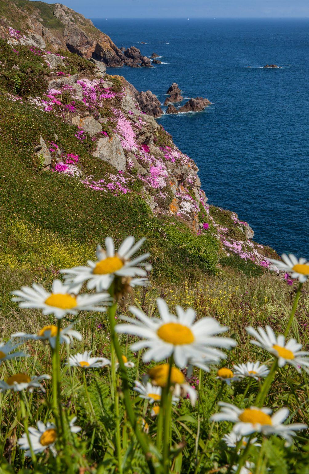 The Islands of Guernsey: Dive into a wild swimmer’s playground ...