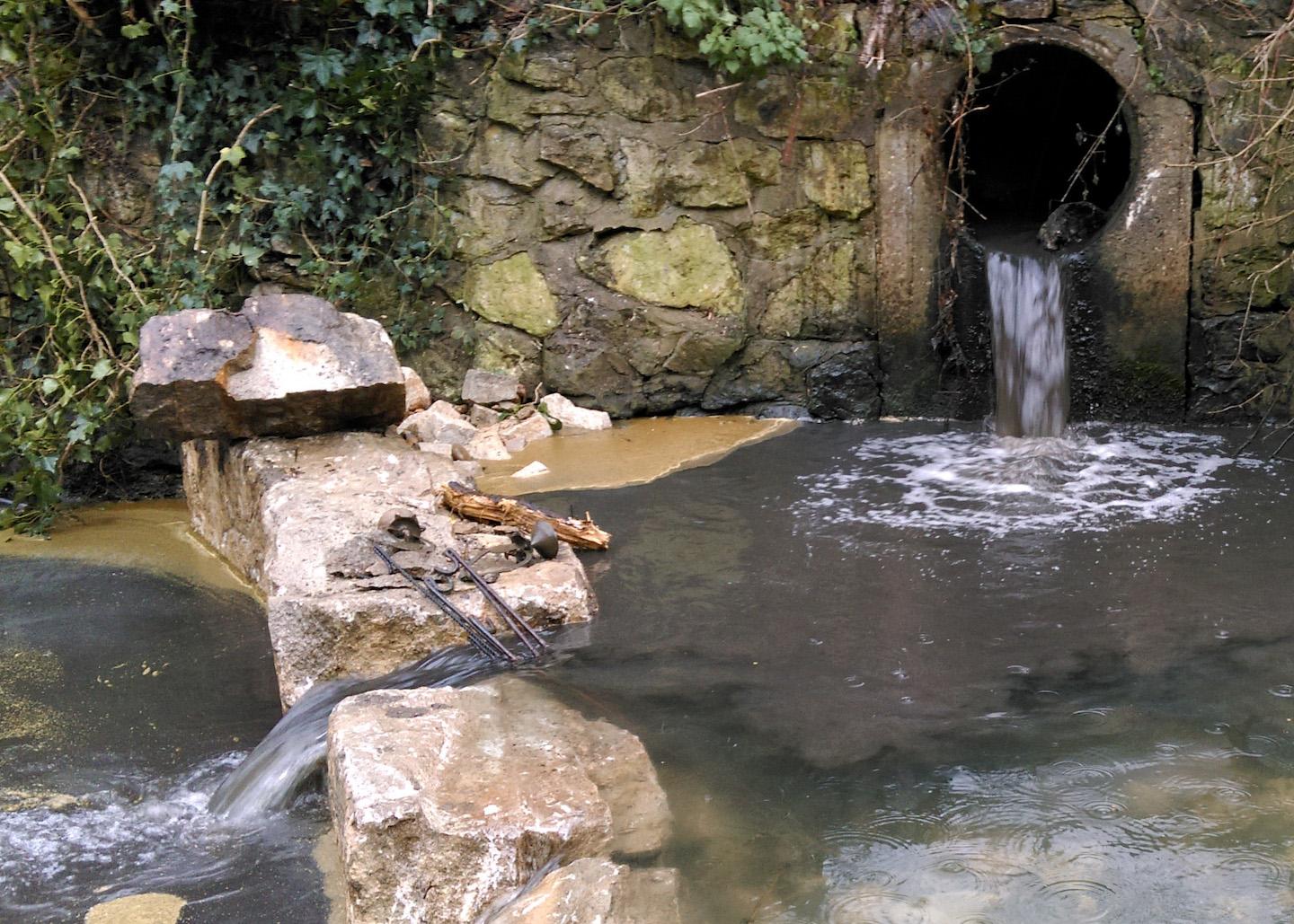 New report from The Rivers Trust reveals the unhealthy state of our ...