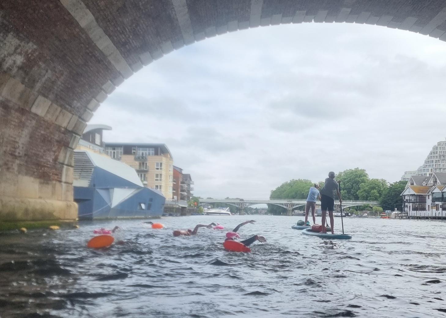 How do I decide if I should swim in the Thames? - Outdoor Swimmer Magazine